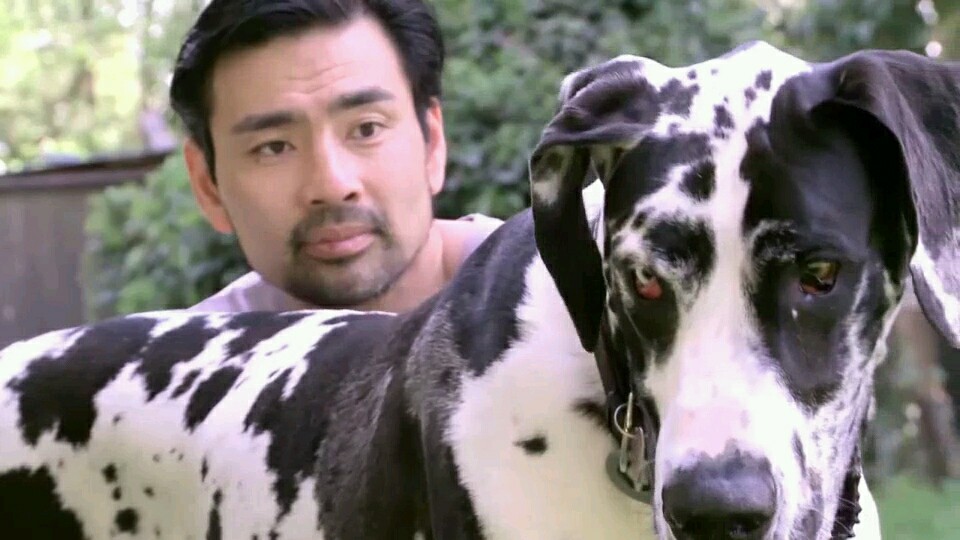Be Dog Woke: For the Intellectual Intuitive Dog Owner - With James Tsai ...