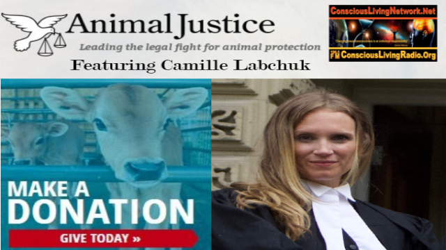 Animal Justice with Camille Labchuk - Conscious Living Radio